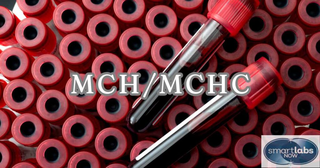 MCH & MCHC Blood Tests: Everything to Know [2025]